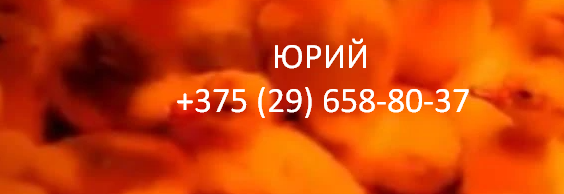 Лебедка сельскохозяйственная бытовая лс-100A (электроплуг) (318411915 ...